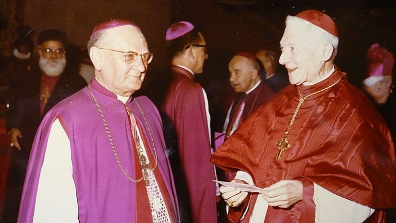 Pourpre cardinalice - L'Incorrect