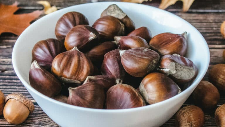 Chauds les marrons ! - L'Incorrect
